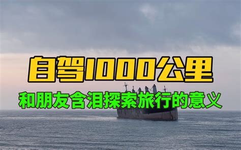 谢谢朋友们没有把我丢在路上 电子小丑鱼 电子小丑鱼 哔哩哔哩视频