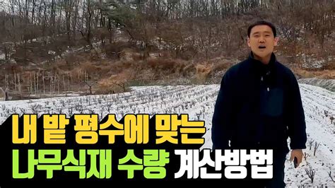 내 밭 평수에 맞는 나무식재 수량 계산방법 나무대장🌳 나무농사의 모든것 Youtube