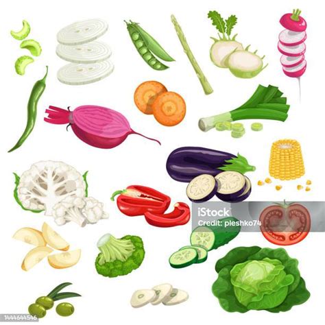 농장 신선한 야채 큰 세트 채소 아이콘 모음 메뉴 및 패키지 디자인에 가장 적합합니다 흰색 배경에 고립 된 벡터 일러스트레이션 가지 채소에 대한 스톡 벡터 아트 및 기타