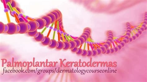 Palmoplantar Keratodermas Pptx