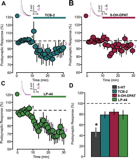 5 Ht1a 5 Ht2a And 5 Ht7 Receptors Agonists Reduce The Amplitude Of