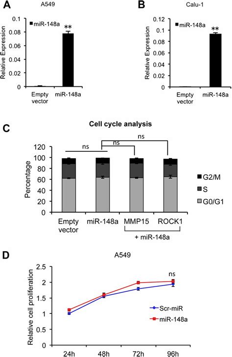 Microrna 148a Reduces Tumorigenesis And Increases Trail Induced