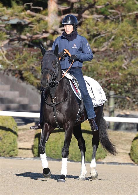 定年まで1カ月強、安田隆行調教師が3頭出しで東西重賞ジャック「短距離戦には思い入れがある」 競馬写真ニュース 日刊スポーツ