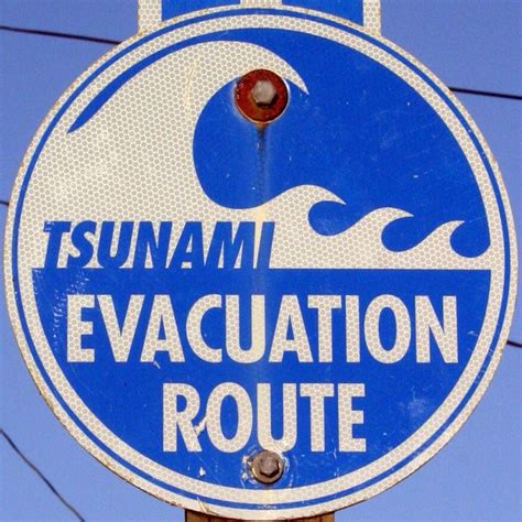 Evacuation Phases Disaster Management Manual Piarc