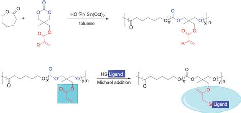 Ring Opening Copolymerization Of ε Cl With Methacryloyl Carbonate And