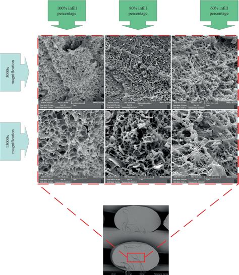 Representative Sem Pictures Of Nano Pores Structure Of The Fff Foamed
