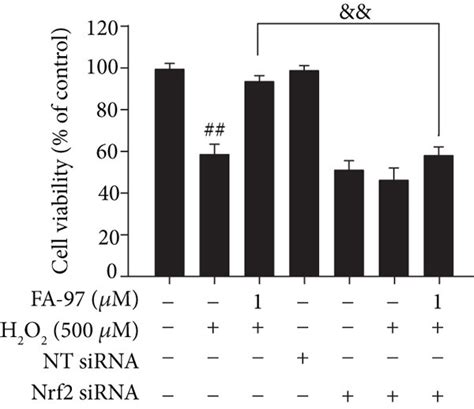 Nrf2 Is Involved In The Antioxidant Effect Of Fa 97 On Neuronal Cells Download Scientific