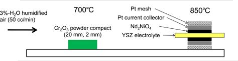 Schematic Of The Set Up Used For The Chromium Poisoning Test Download Scientific Diagram