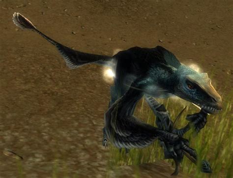 Raptor Guildwars Wikia Fandom Powered By Wikia
