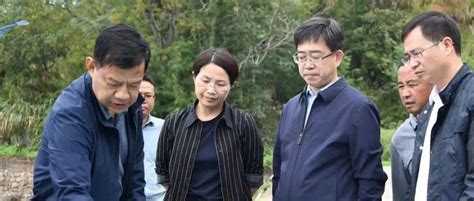 压紧压实攻坚责任！武平县领导调研督导重点项目“百日攻坚”行动并召开集体约谈会建设