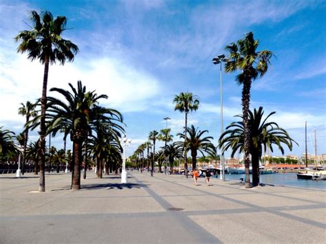 Sommardag P Barceloneta Med Marina Och Segelb Tar I Barcelona