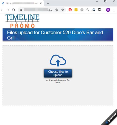 Enable Specific Record Access With Extendfiles Public Links