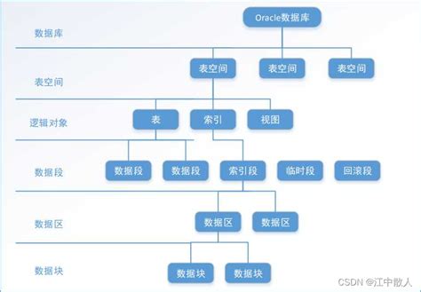 【云原生进阶之数据库技术】第二章 Oracle 1 简介oracle数据库综述 Csdn博客