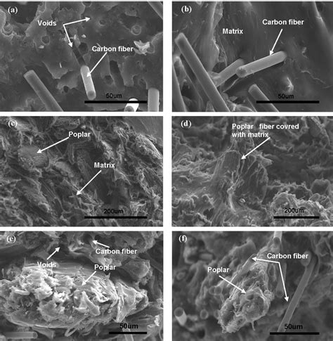 Sem Micrographs Of Tensile Fractured Surfaces Of Composites A Download Scientific Diagram