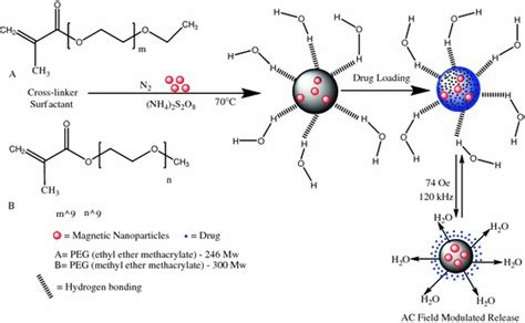 Scheme 1 Synthesis Of Coreshell Nanospheres And Oscillating Field