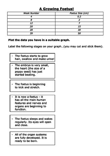 Growth Of A Foetus Graph Plotting Activity Ks3 Reproduction Skills Teaching Resources