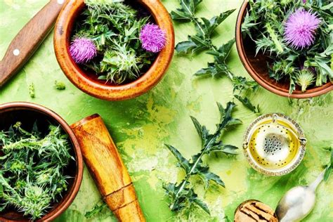 The Best Tea For Lymphatic Drainage And 8 Effective Practices For