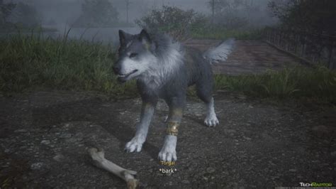 Final Fantasy Xvi Torgal Upgrade Guide Techraptor