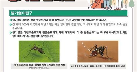 경북도 해외 여행 ‘뎅기열 주의고열·두통·발진 등 증상