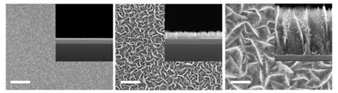 Pic 2 Image Eurekalert Science News Releases