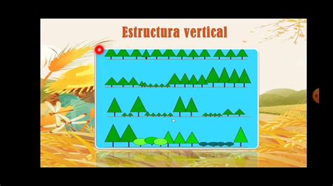 Concepto De La Silvicultura Youtube