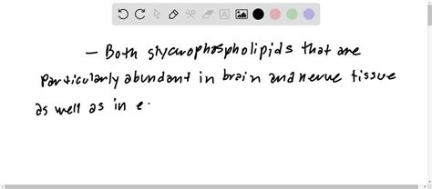 Solved Describe The Similarities And Differences Between Lecithins And Cephalins