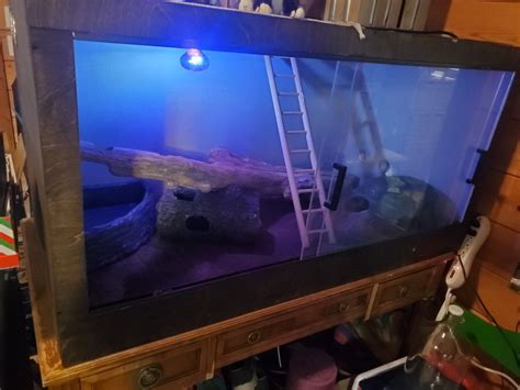 Custom Reptile Tank For Sale In Penn Valley Ca Offerup