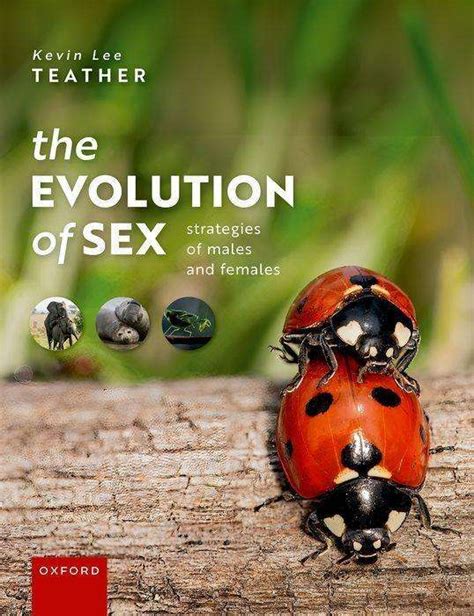The Evolution Of Sex Kevin Teather Buch Jpc De