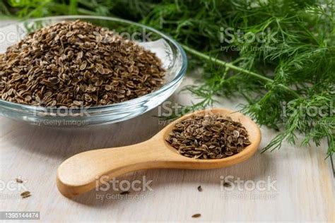나무 숟가락에 유기농 딜 씨앗과 흰색 나무 테이블에 유리 접시 요리를위한 천연 향신료와 조미료 전체 Anethum