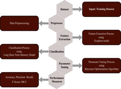Overall Process Of BODLD CTC System II THE PROPOSED CROP TYPE