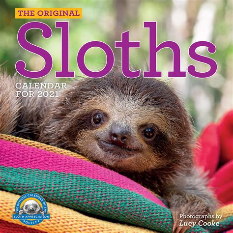 Original Sloths Wall Calendar 2021 By Lucy Cooke Goodreads