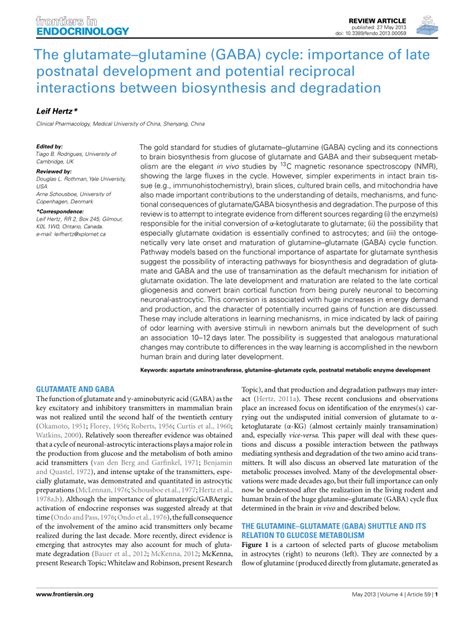 Pdf The Glutamateglutamine Gaba Cycle Importance Of Late
