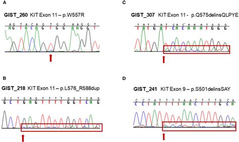Experimental Validation Of Low Allele Fraction Mutations In Gist