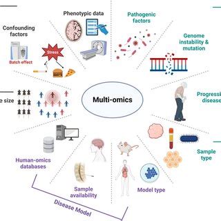 The Brief Process Of Integrating Multiomics Data With Machine Learning Download Scientific