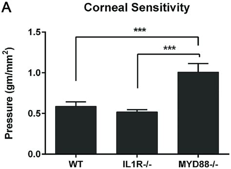 Myd88 Mice Have Decreased Corneal Sensitivity Corneal Sensitivity