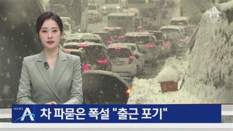 강원 지역에 차 파묻은 폭설“출근 포기” Zum Tv