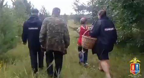 В Пестяковском районе в лесу заблудился 10 летний мальчик Новости