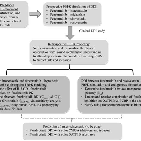 Overall Physiologically‐based Pharmacokinetic Pbpk Model‐informed