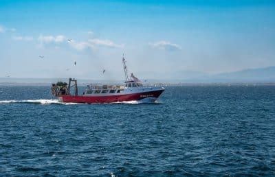 Barco Qué es definición y concepto