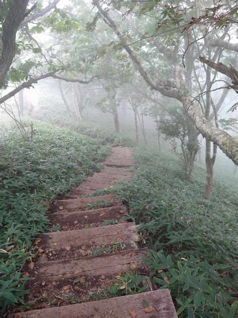 もくもく黒檜山・駒ヶ岳 レモモさんの赤城山・黒檜山・荒山の活動データ Yamap ヤマップ