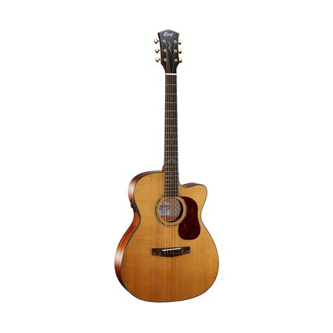 Jual cort Gold-OC6