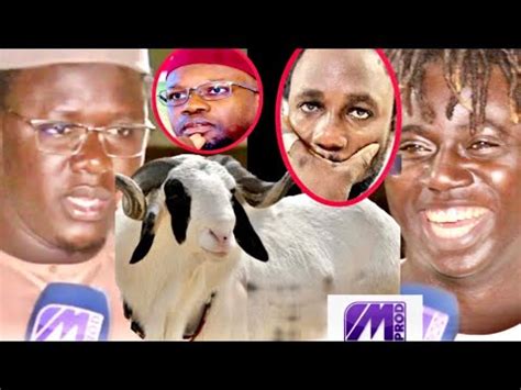 SOCIAL SERIGNE CISSÉ OFFRE UN MOUTON À PAWLISH MBAYE QUI FAIT DU