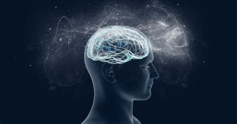 The Differences Between Brain And Mind