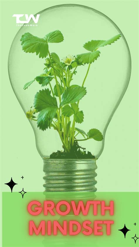 The Growth Mindset For Startups Thecodework