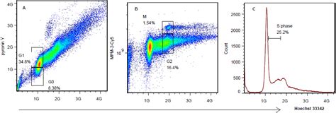 A Triple Staining Method For Accurate Cell Cycle Analysis Using Multiparameter Flow Cytometry
