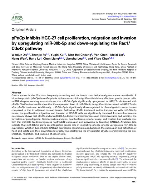 Pdf Ppeop Upregulates Mir 30b 5p Which Down Regulates The Rac1cdc42