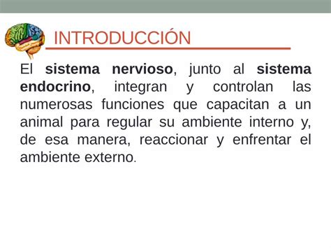 (PDF) ORGANIZACIÓN DEL SISTEMA NERVIOSO. NEURONAS°Medio/Biología/Clase 2... · funciones ...