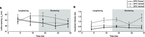 Variation In Lattice Structure Throughout The Contraction Cycle Mean T