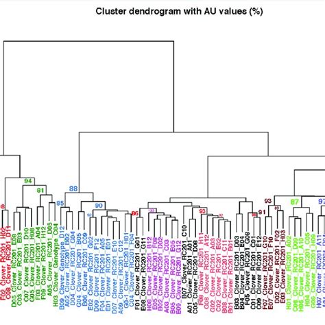 Clustering Analysis Using The Snp Genotyping Data Identified Using Download Scientific