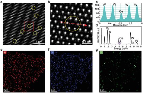 A Atomically Resolved Haadf Stem Image Of A Cews Monolayer Where